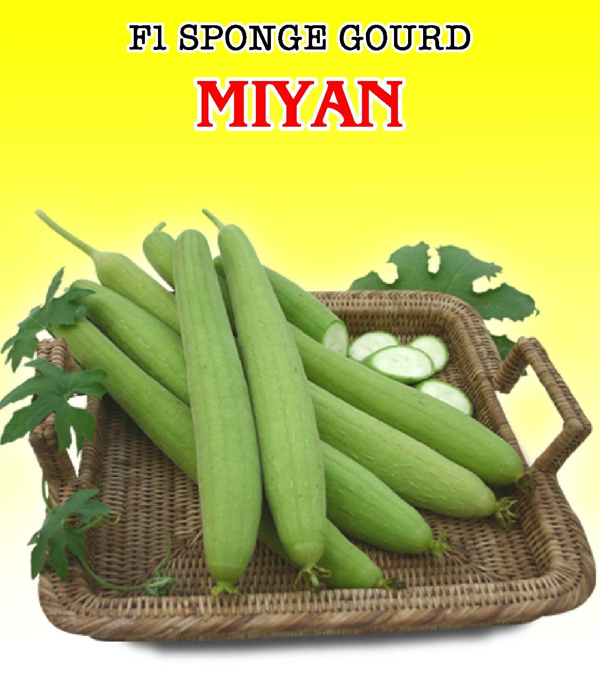 Sponge Gourd – Jamalpur Seeds